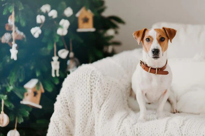 Top Tips to Get Your Home Ready for Christmas